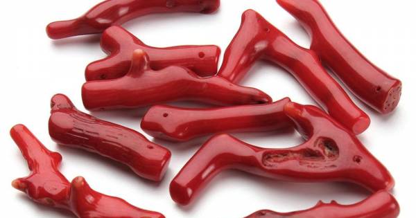 Top 3 things to know about Red Coral